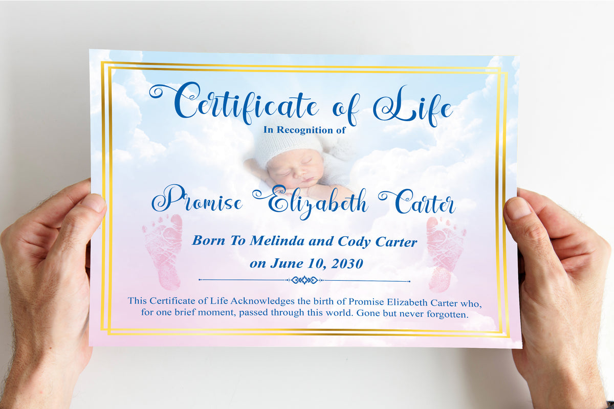Editable Certificate of Life GIRL, DIY Pink Baby Loss Printable — Posh Park