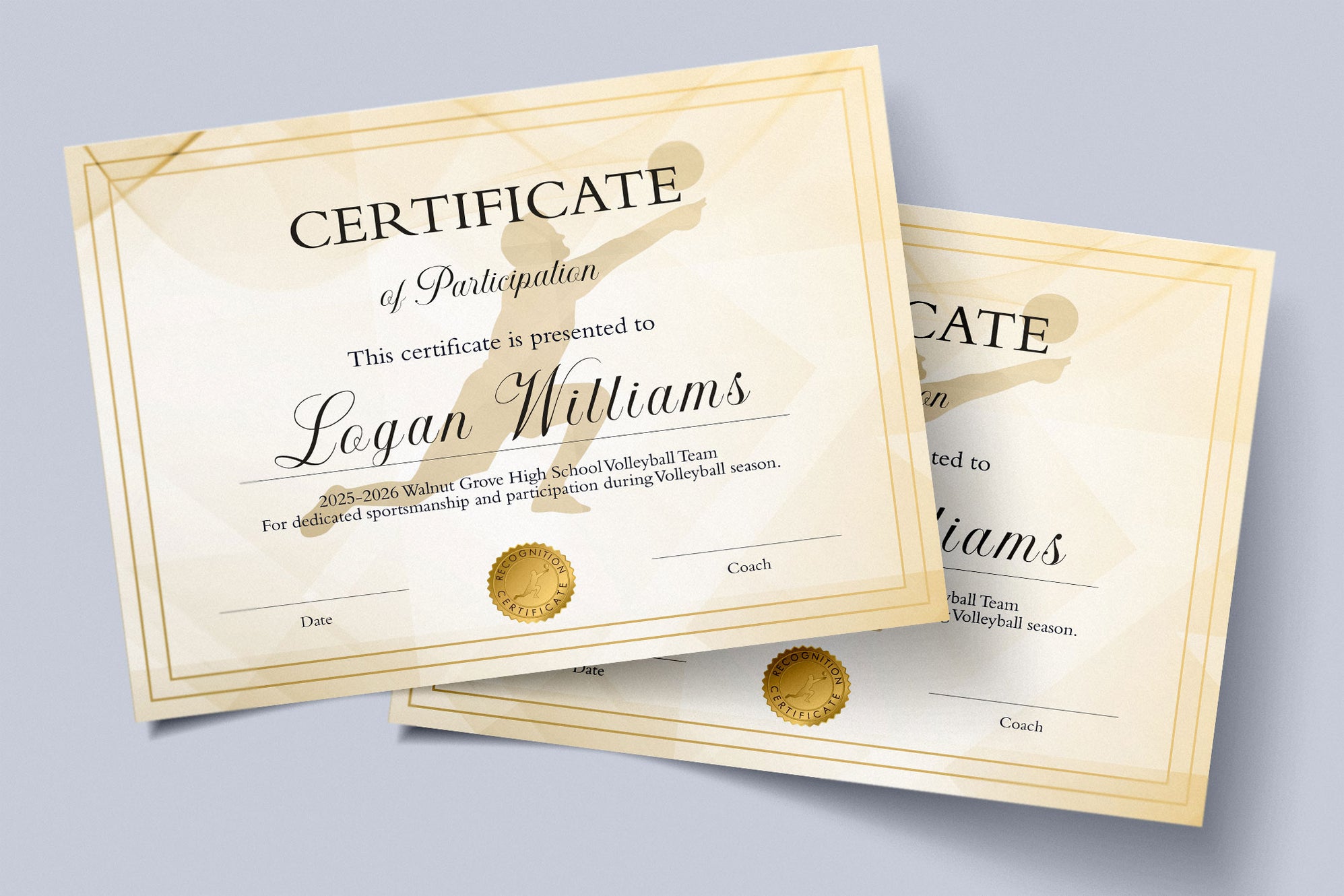 DIY Volleyball Award Certificate for Boys | Sport Participation ...