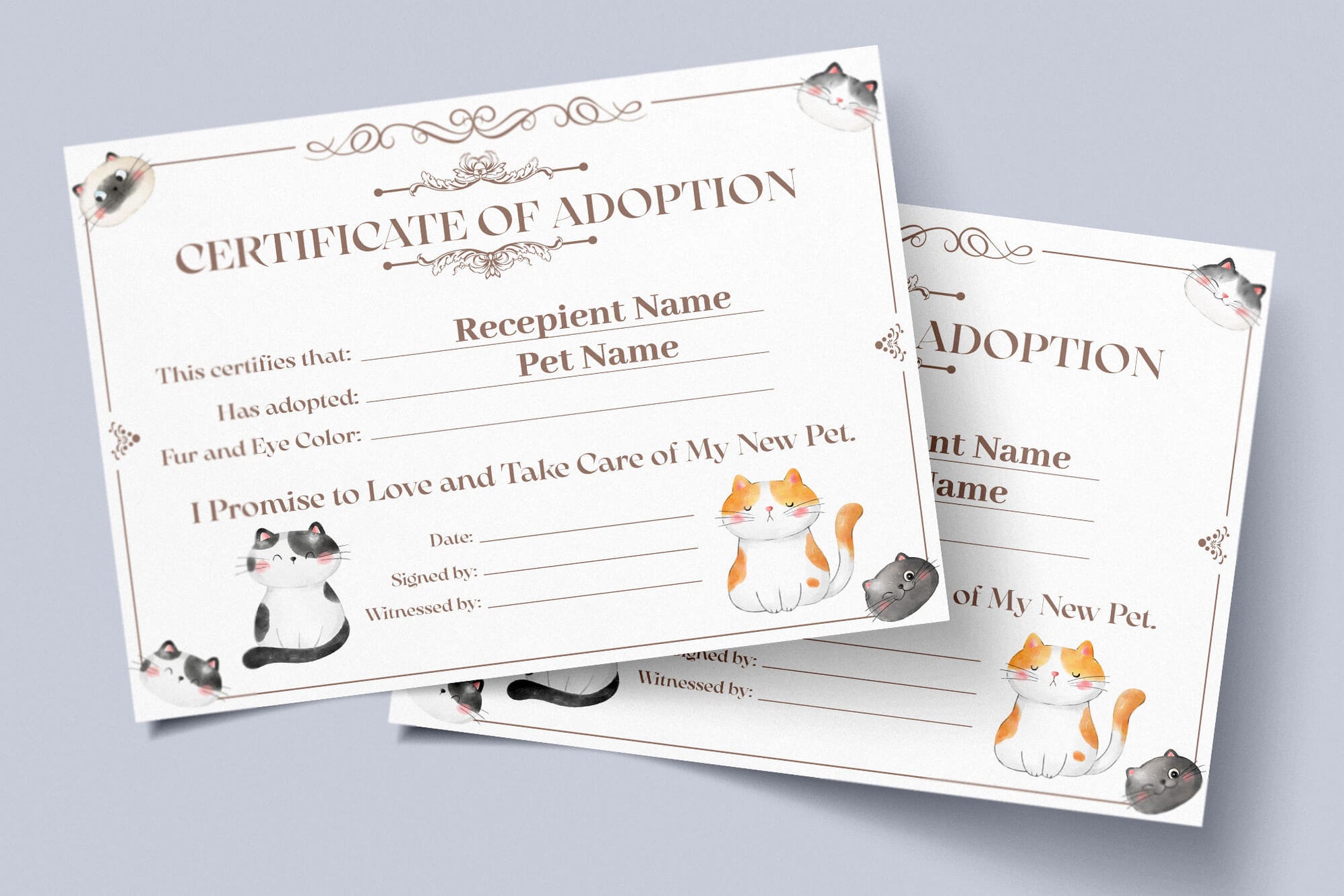 DIY Adoption Certificate for Cats Template - Posh Park
