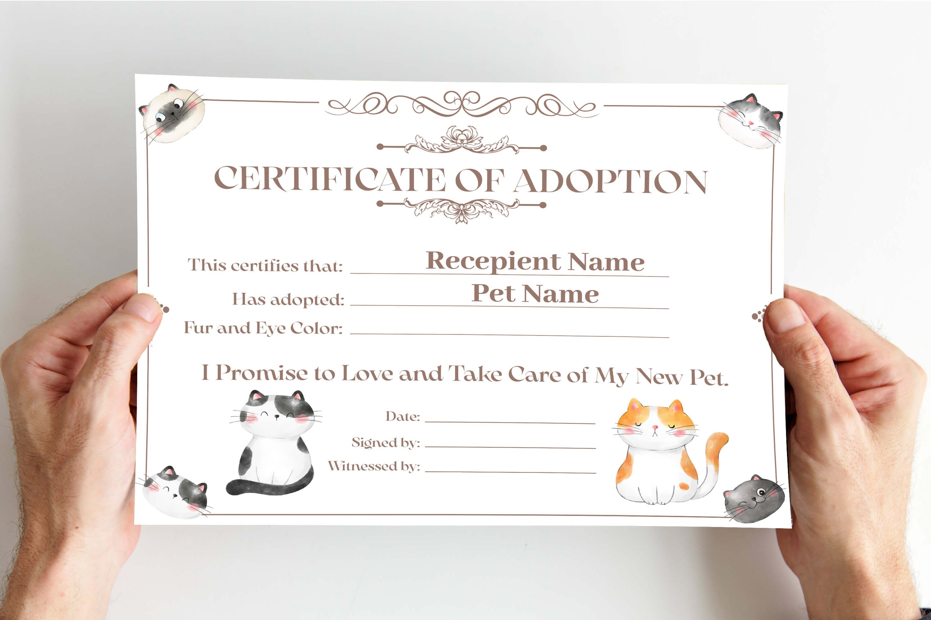DIY Adoption Certificate for Cats Template - Posh Park