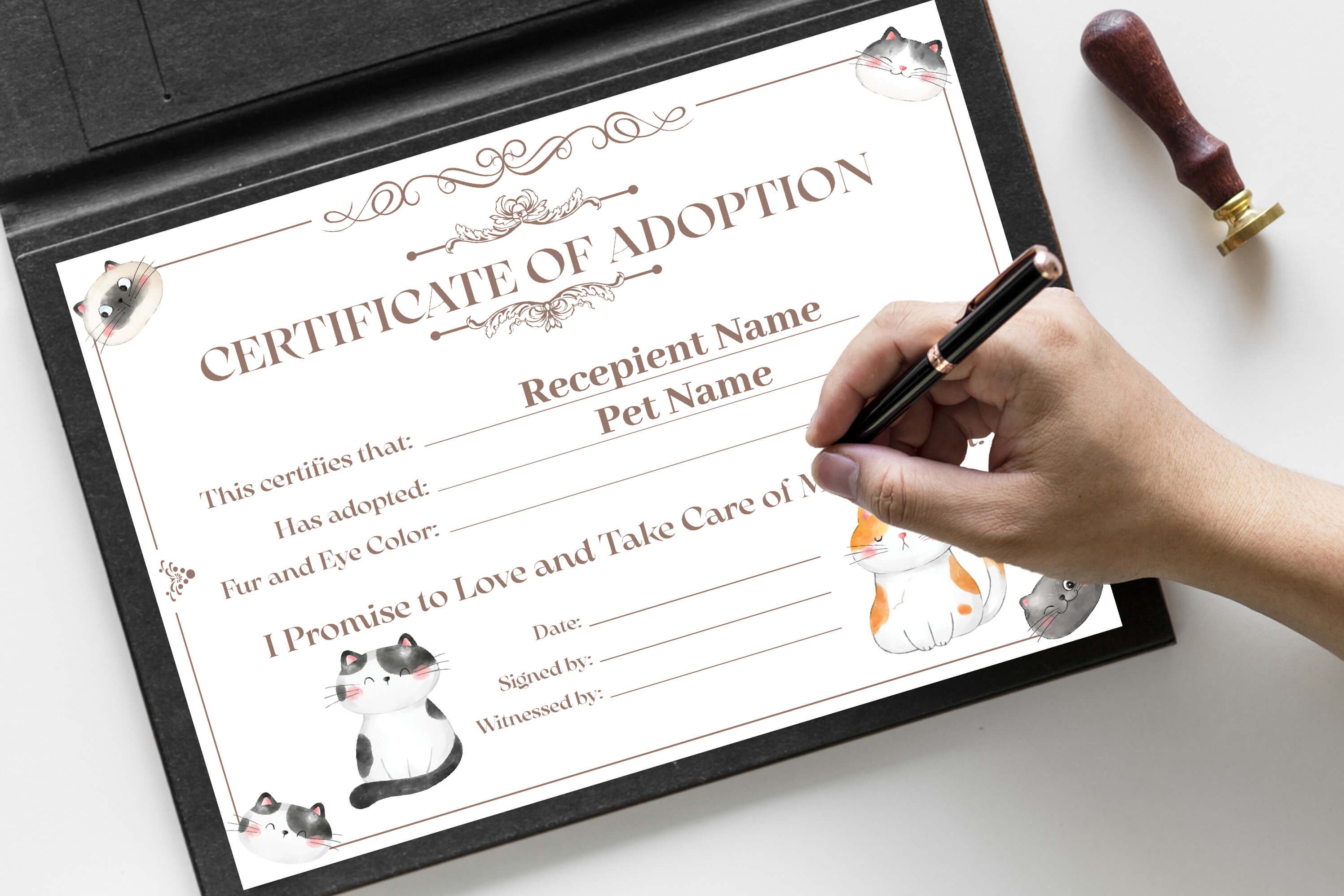 DIY Adoption Certificate for Cats Template - Posh Park