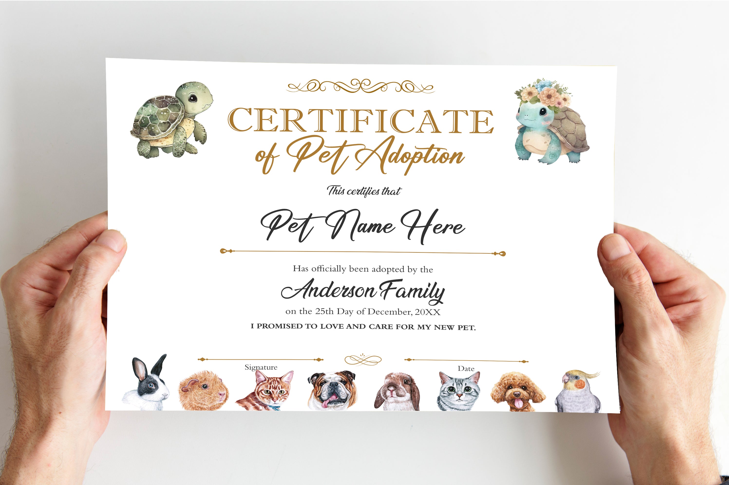 Customizable Certificate of Adoption for Pets Template - Posh Park