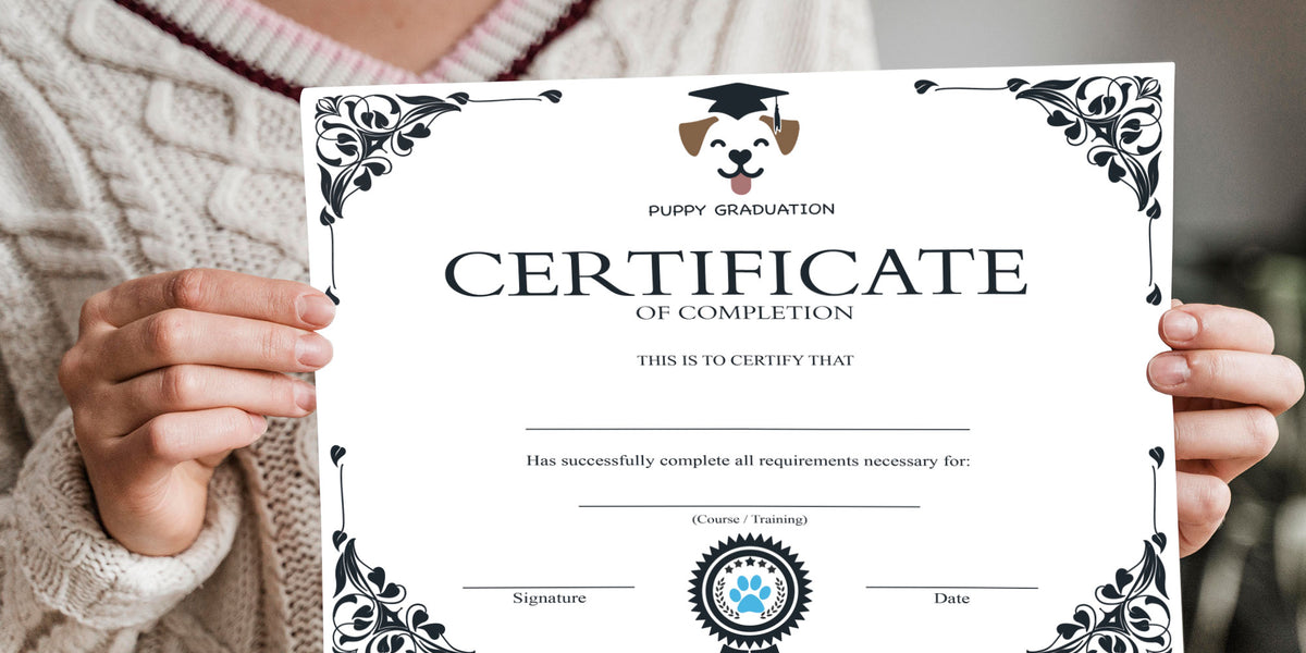 Downloadable Puppy Dog Graduation Certificate Template — Posh Park