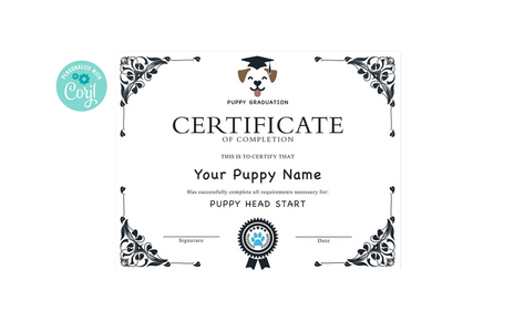 EDITABLE Puppy Dog Graduation Certificate Template, Downloadable Dog A ...