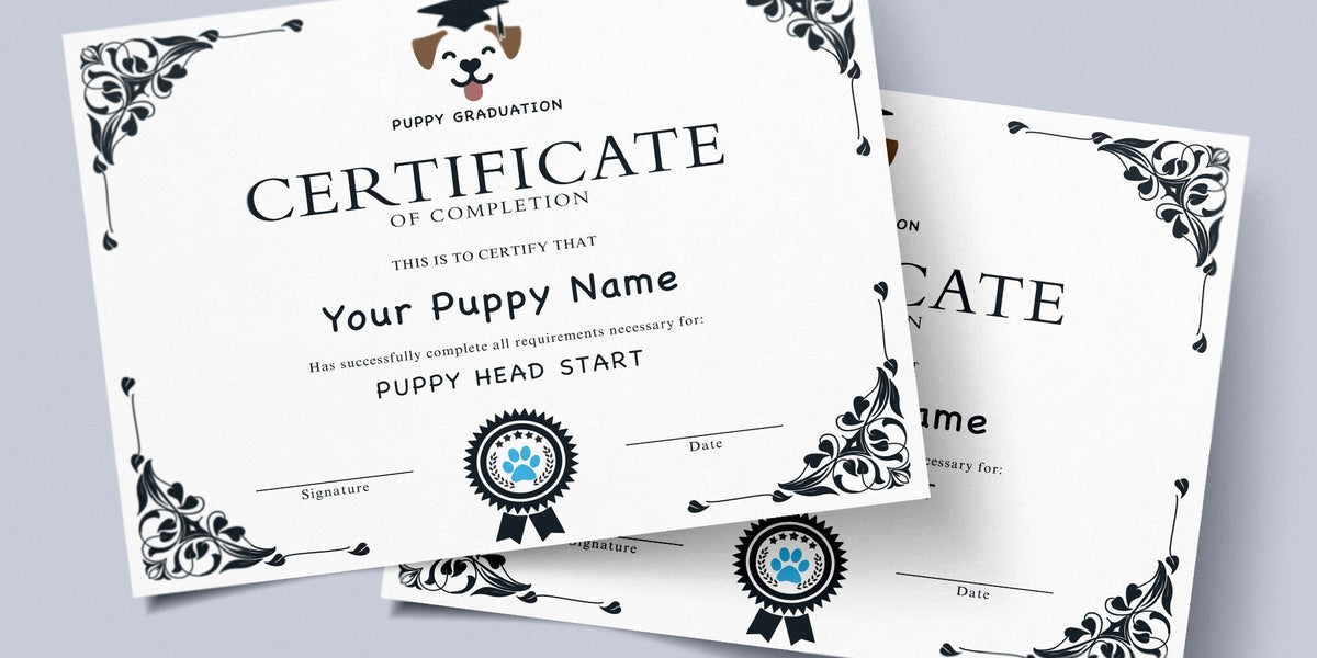 EDITABLE Puppy Dog Graduation Certificate Template, Downloadable Dog A ...