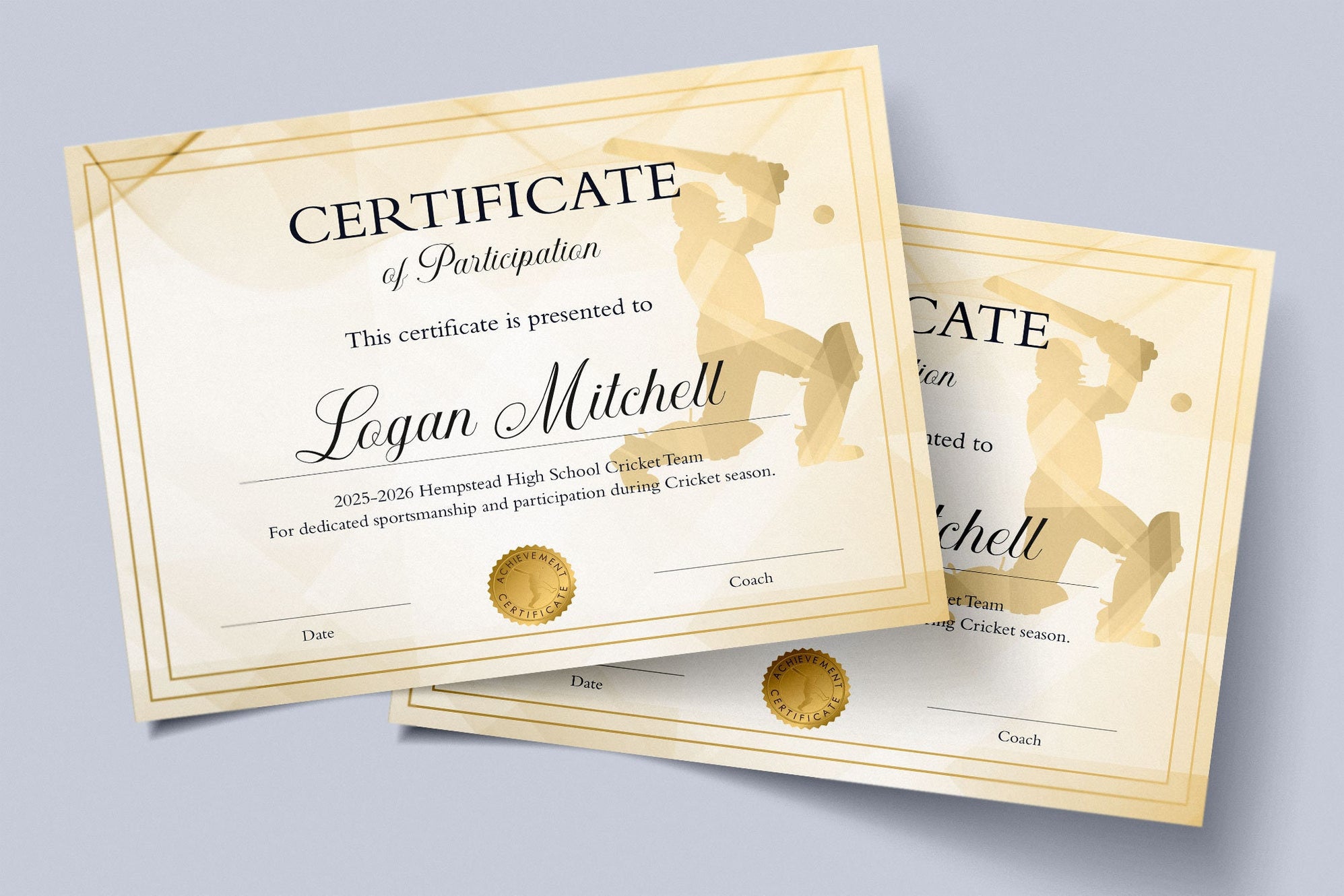 Editable Cricket Certificate Template, Printable Cricket Award for Tea ...